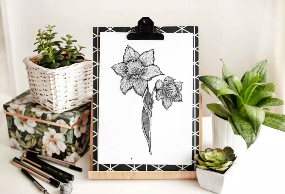 Todo lo que necesitás saber para aprender a dibujar