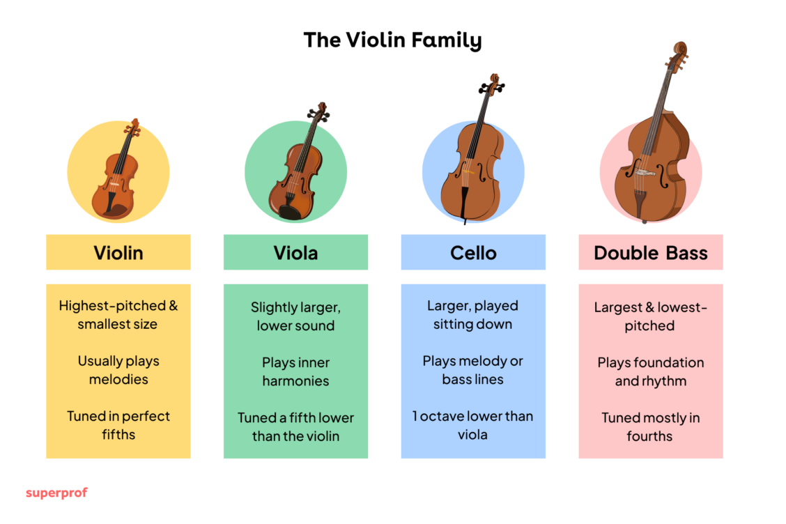 The Violin Family: Violin, Viola, Cello & Double Bass