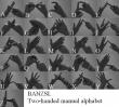 Australian Sign Language Alphabet