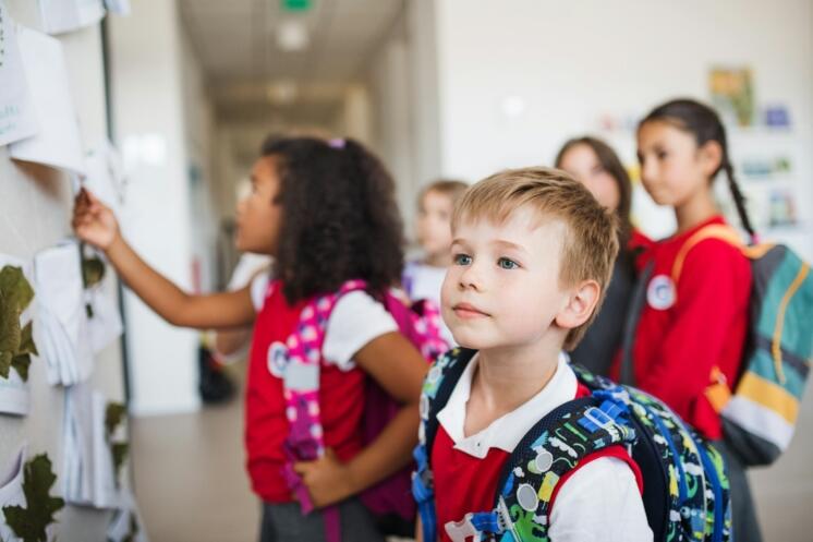 Best Primary Schools in Melbourne