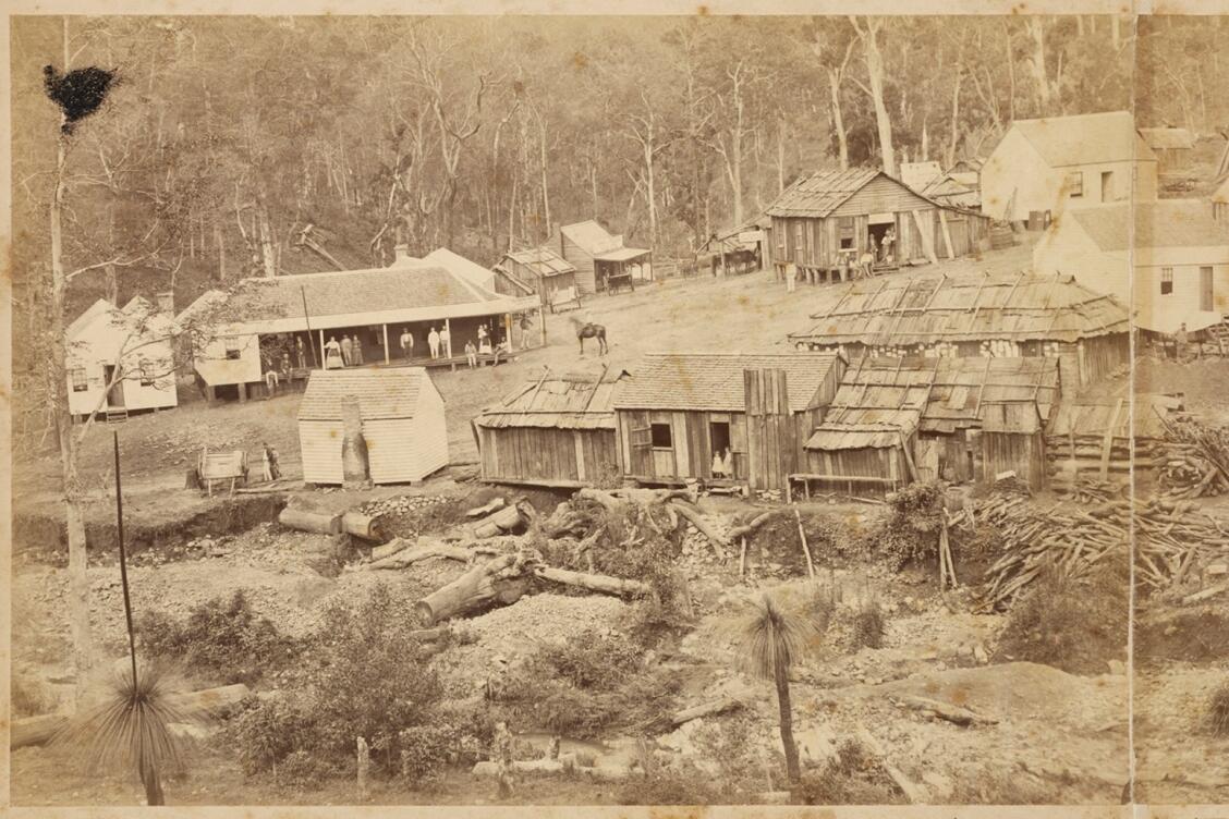 Australian Gold Rush and the Road to Federation