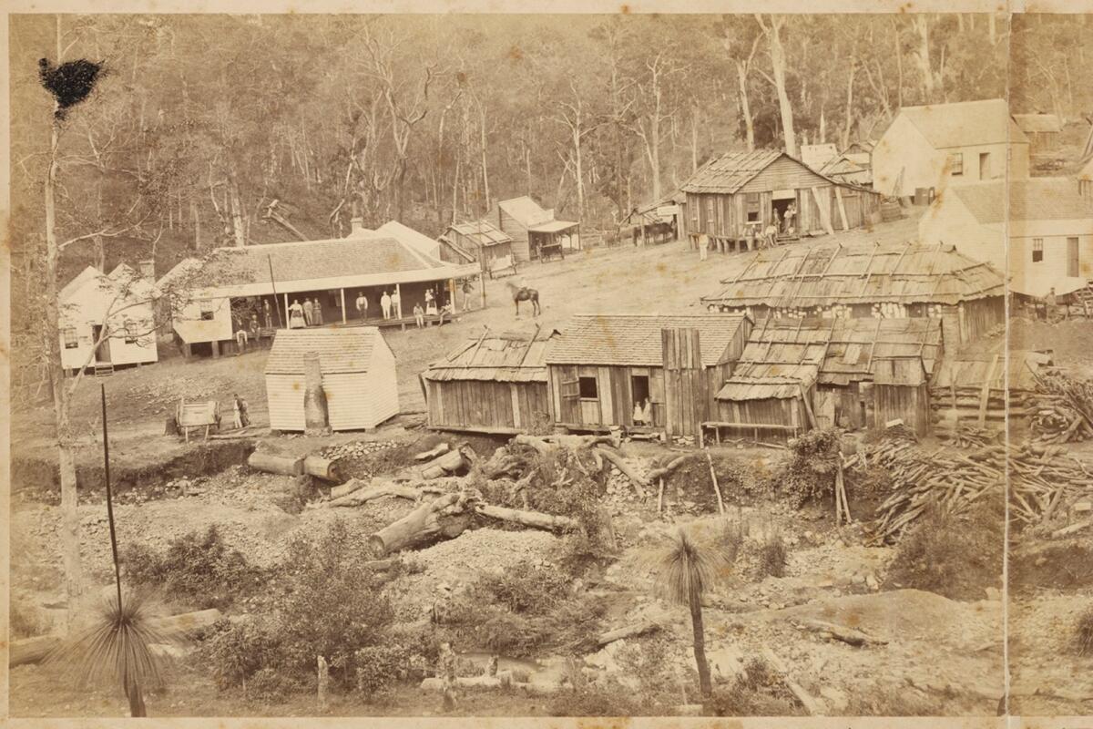 Australian Gold Rush and the Road to Federation