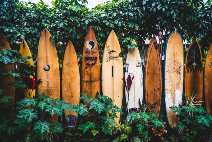 The History of Surfing: From Ancient Polynesia to the Present Day
