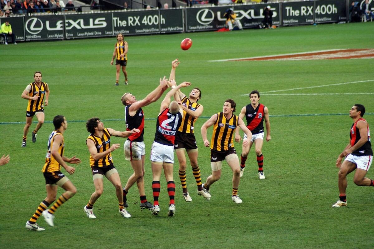 A Beginner's Guide to AFL