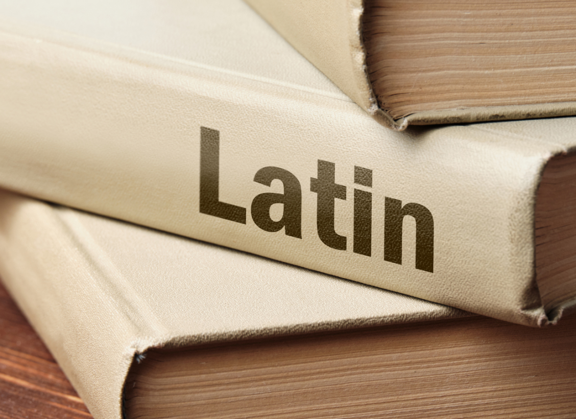 Como entender as diferentes declinações do latim?