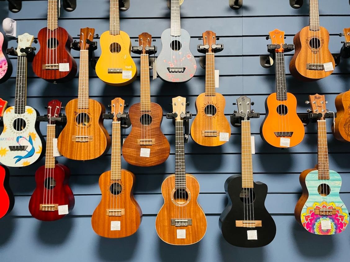Guia do cavaquinho para iniciantes