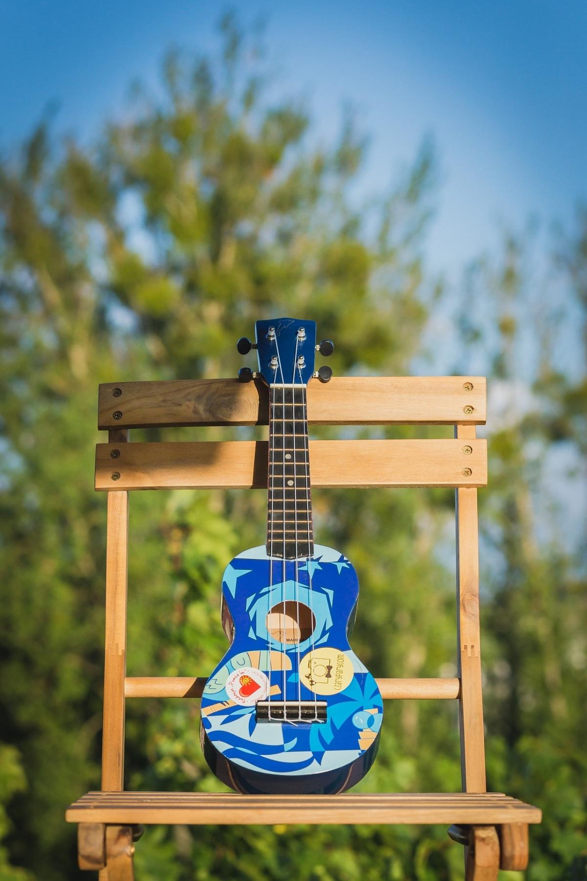 O que é o cavaquinho? Toda a história deste instrumento