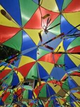 O que é a dança Frevo? Saiba tudo aqui!