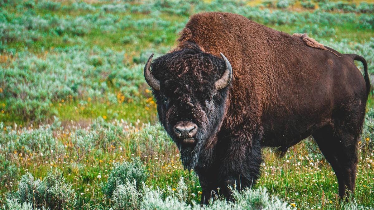 Top 10 Must-See Places in the Northwest Territories