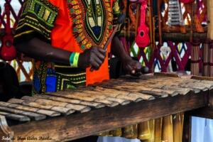 Marimba de Chonta y su Rol en la Música del Pacífico