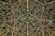 Simetría: definición, tipos y ejemplos en geometría y naturaleza