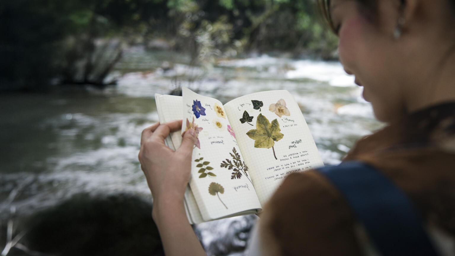 Vocabulario básico en inglés de la naturaleza y el medio ambiente