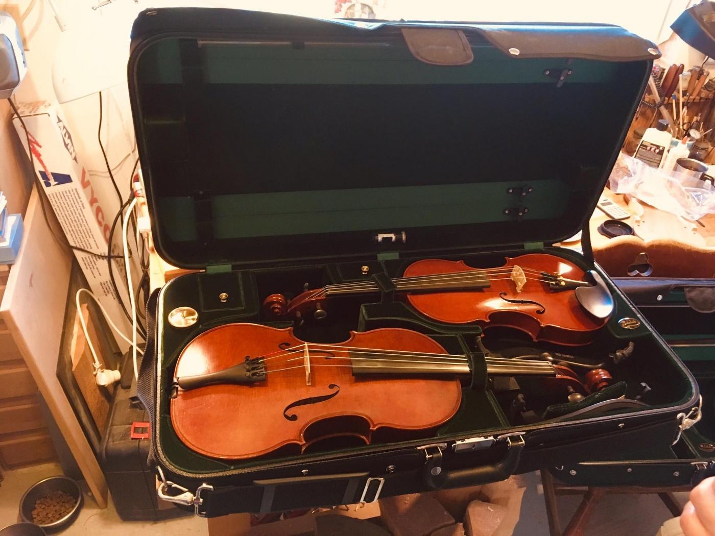 Die Bratsche: unser Instrumentenguide