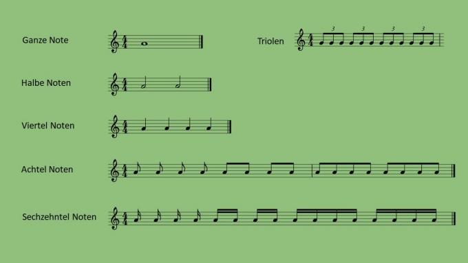 Noten lesen lernen für die Geige: Rundum-Guide