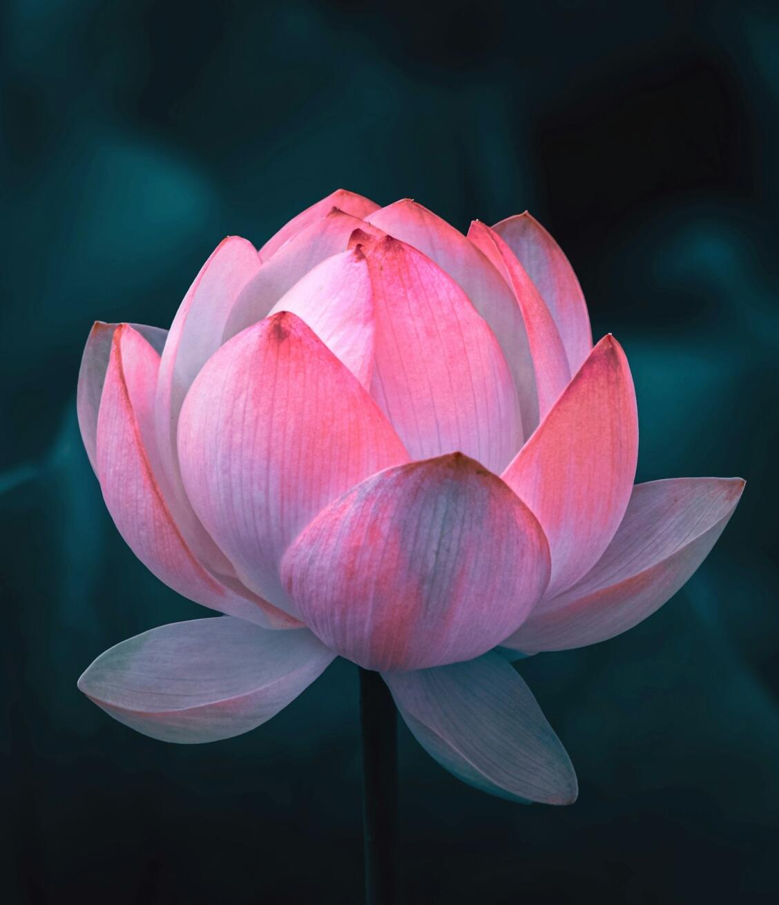Hinduismus: Ursprung, Symbole und Rituale entdecken