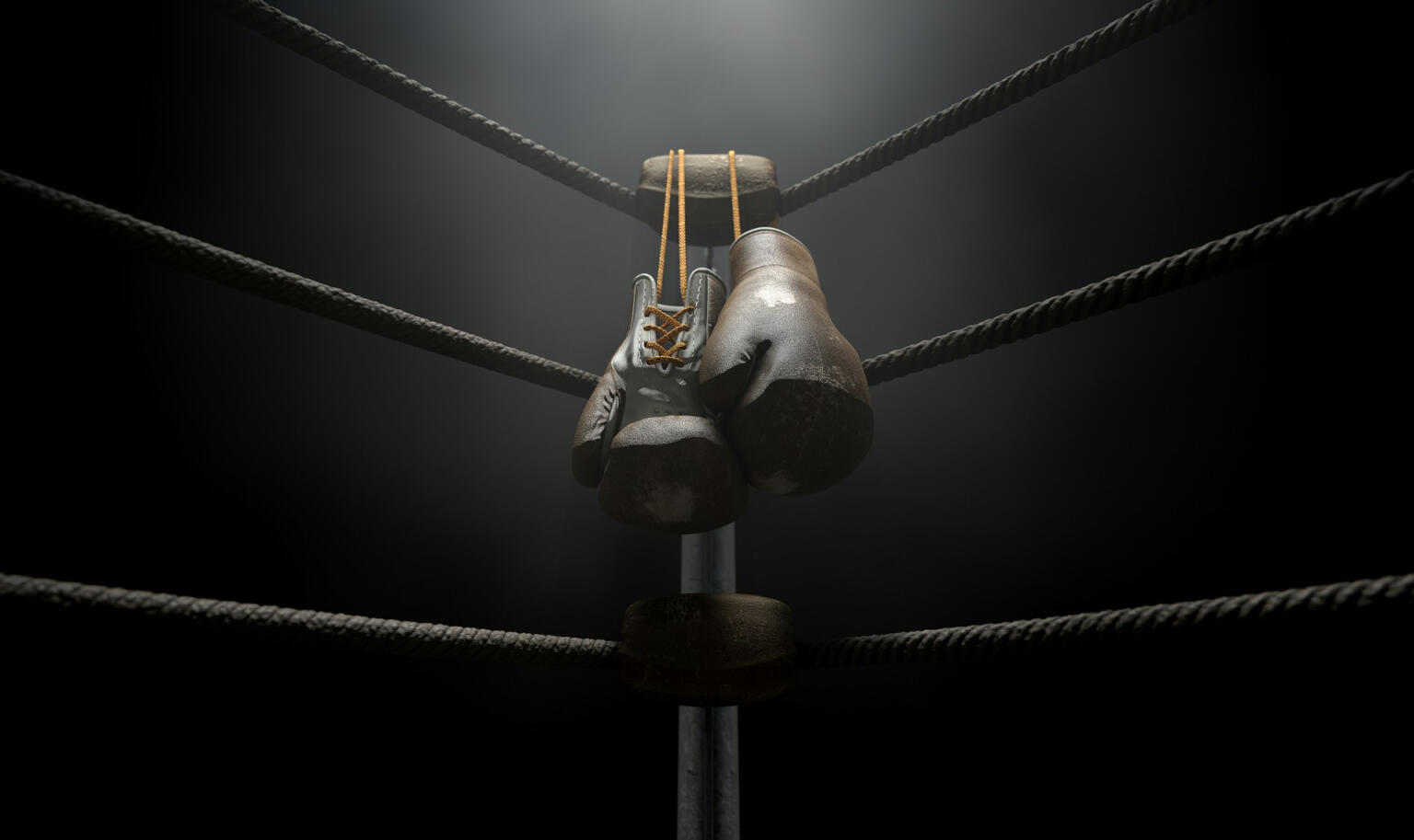 Tipos de boxeo: guía completa de estilos y categorías