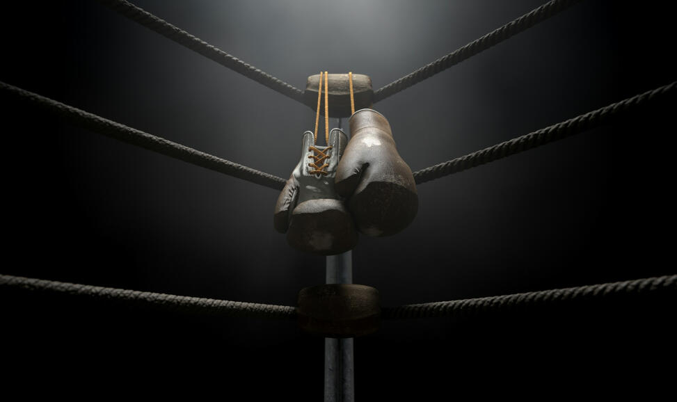 Tipos de boxeo: guía completa de estilos y categorías