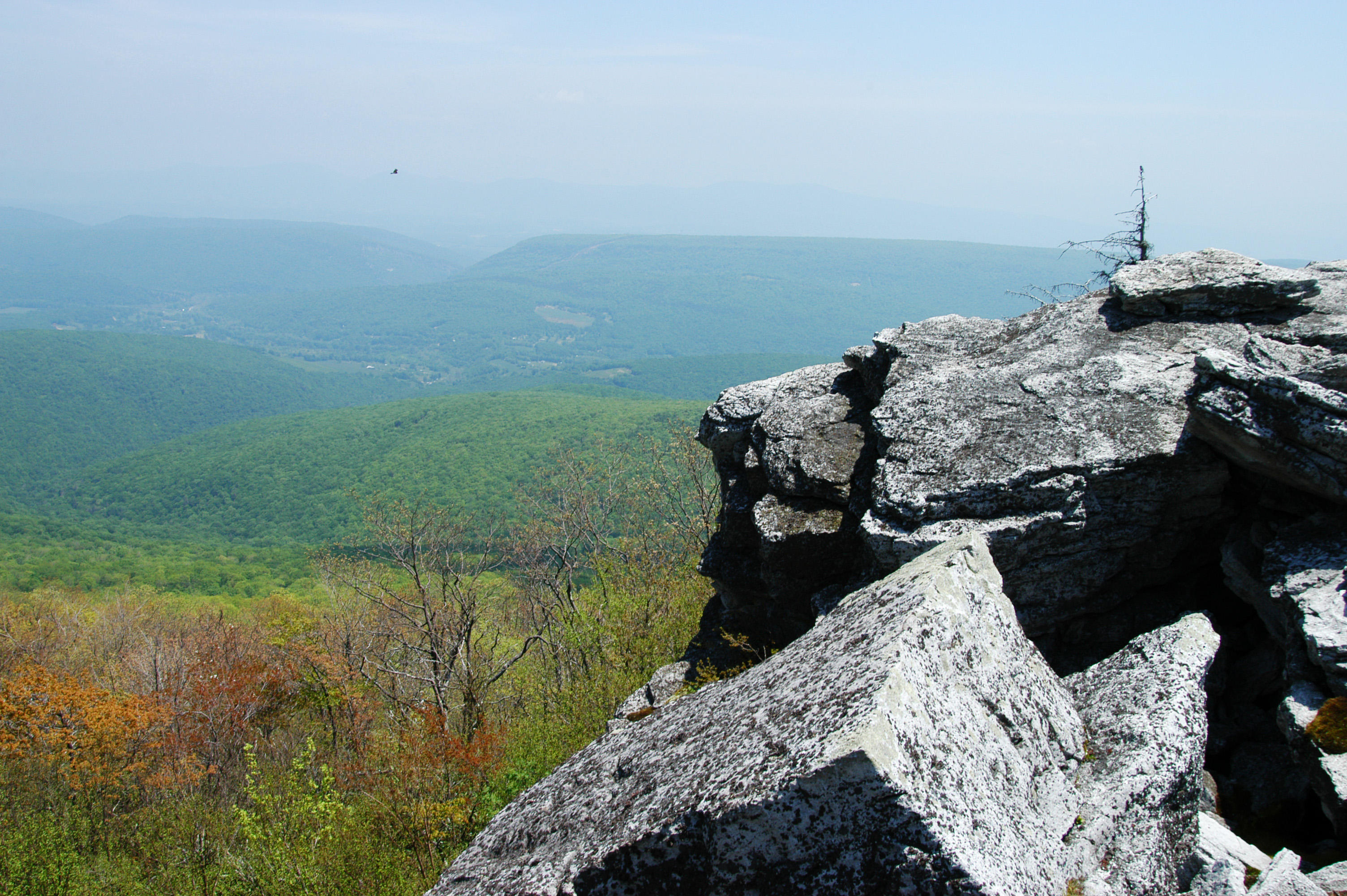 Ritmos de Guitarra: ¿Cómo Componerlos?