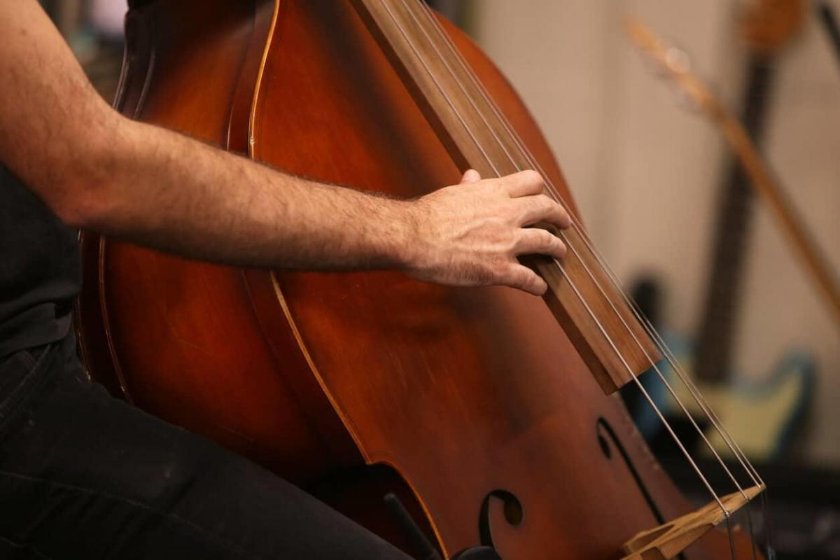 Guitarra: Historia del Bajo