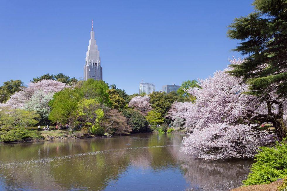 Joyas de Japón: los parques de Tokio
