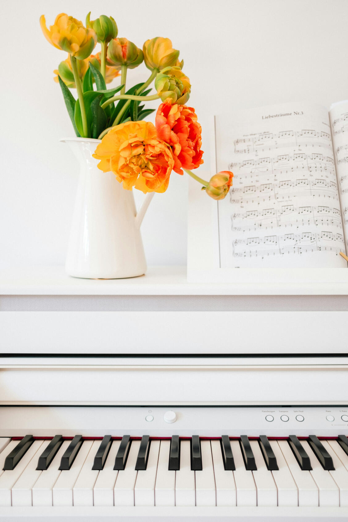 Claves musicales: tipos, usos y notación para instrumentos