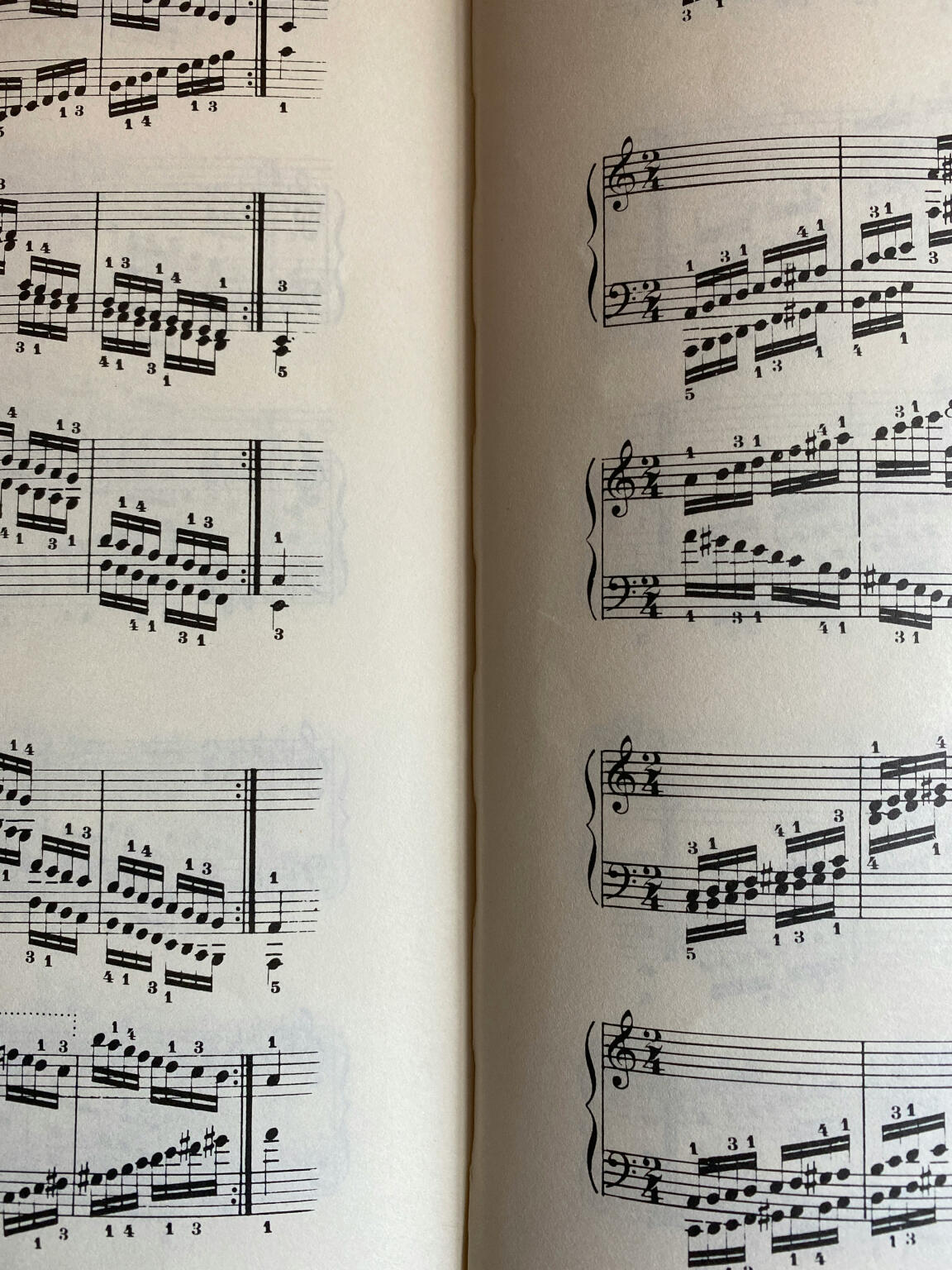 Las notas musicales: guía para principiantes