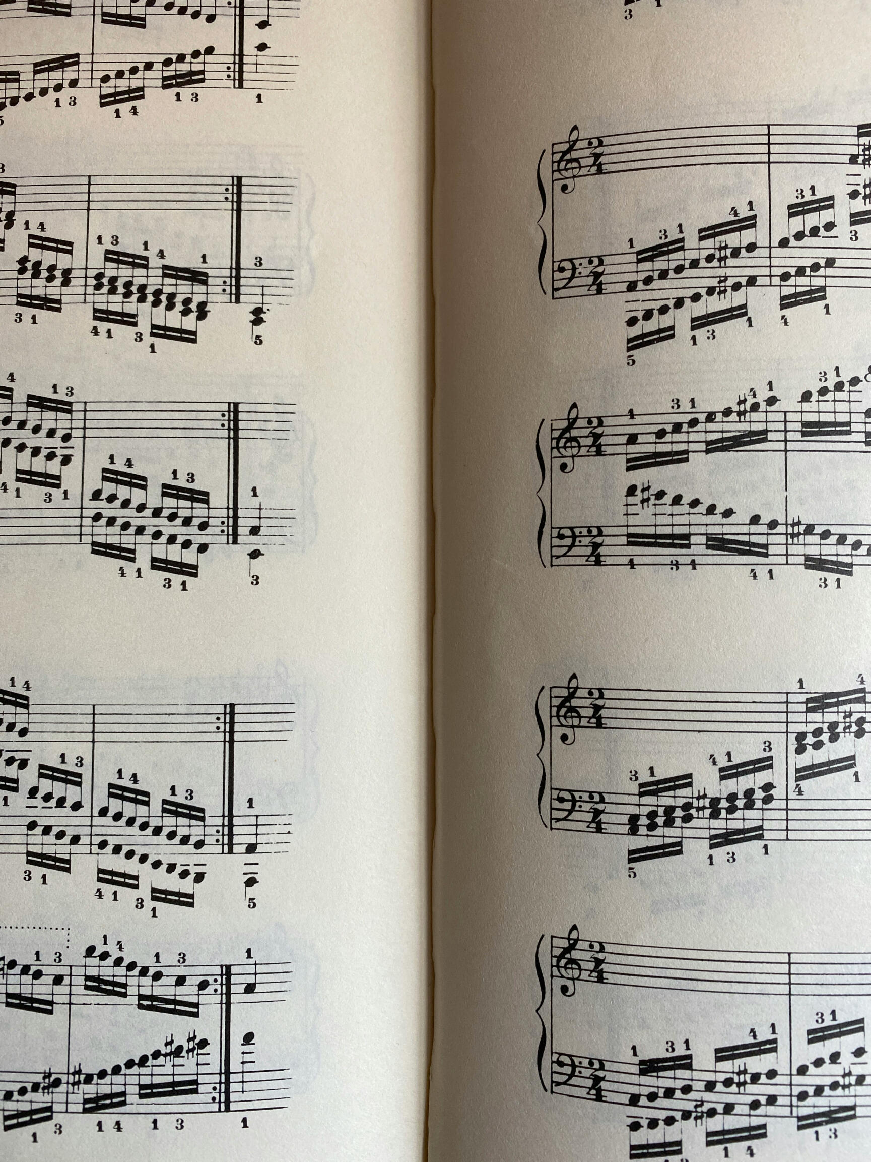 Las notas musicales: guía para principiantes