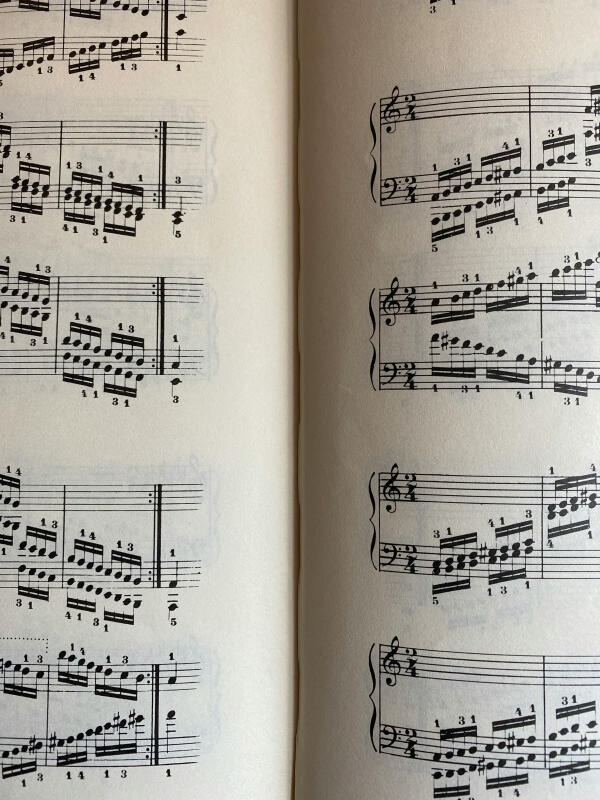Las notas musicales: guía para principiantes