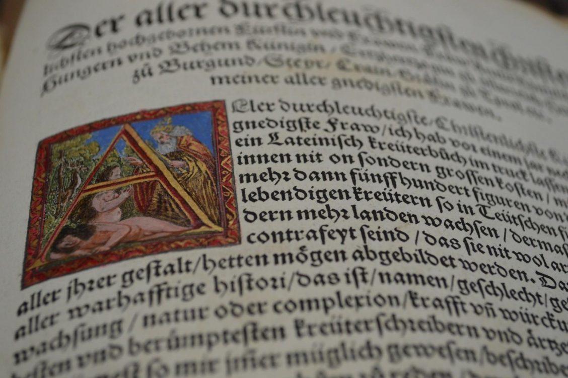 Lettre Romaine : Origine et Influences