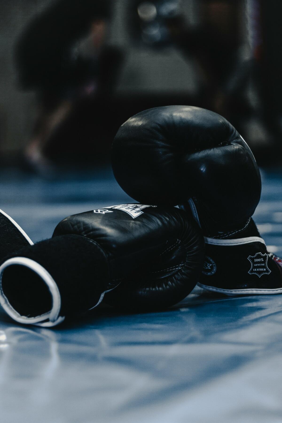 Boxeur français : le top 26 des plus grands boxeurs de France