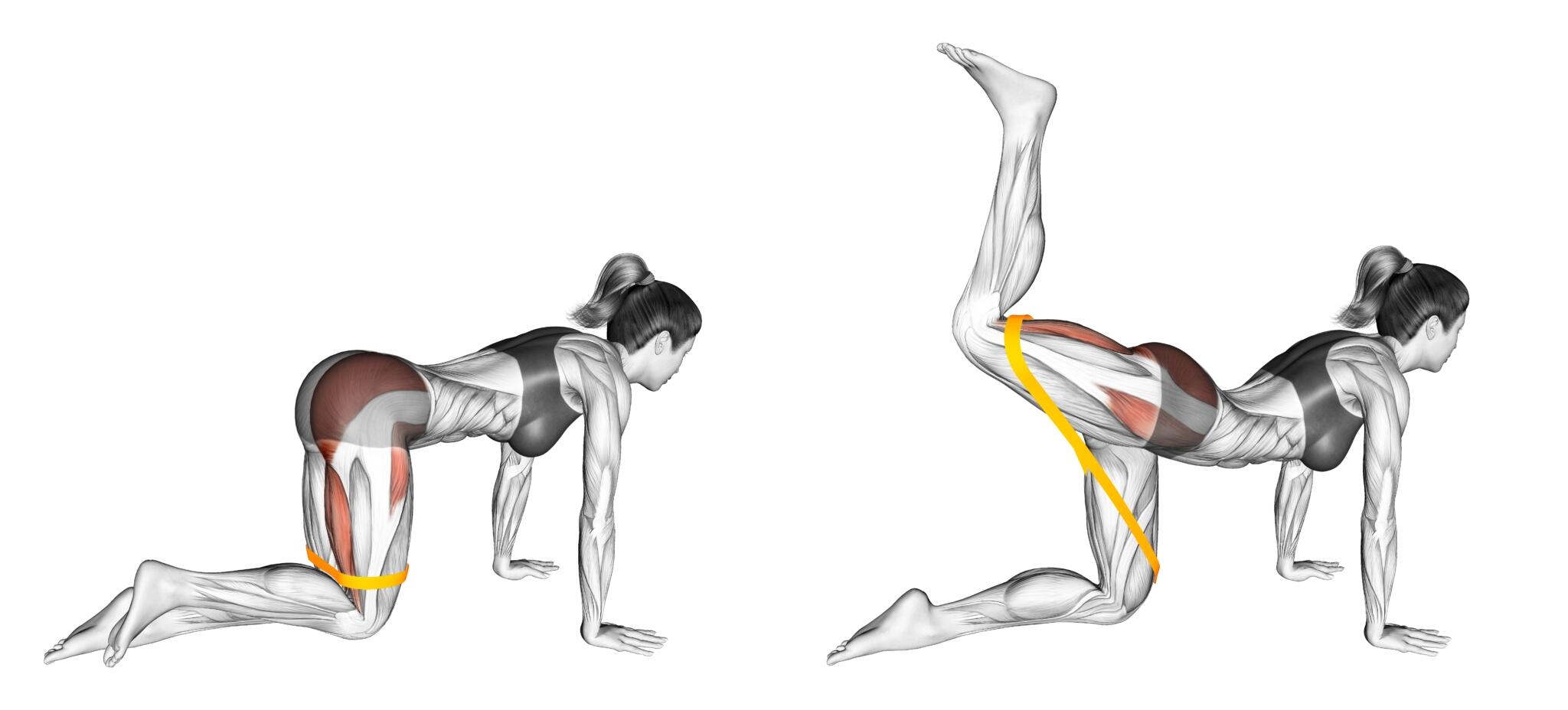 Quel exercice fessier est le plus efficace