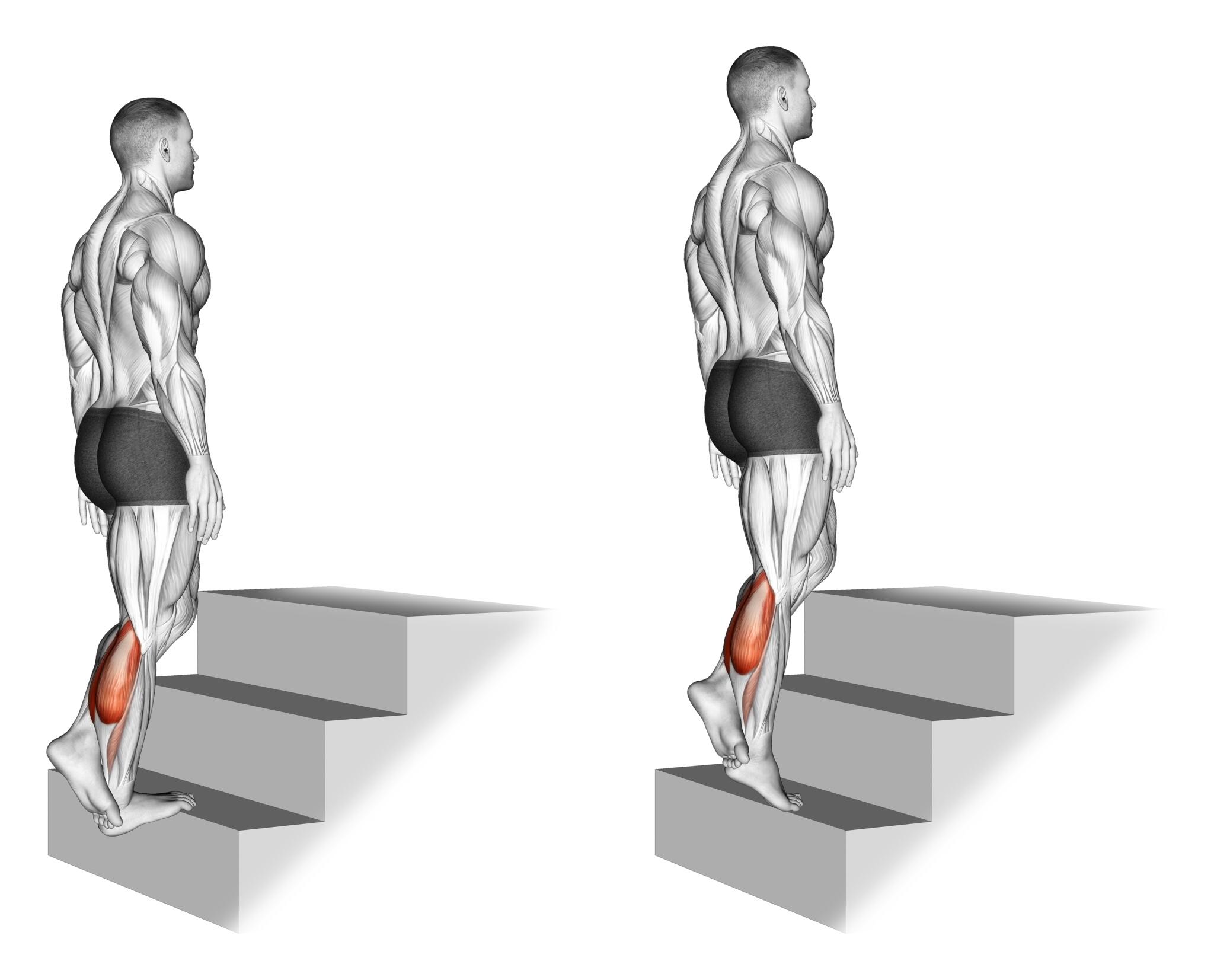 Exercice jambe maison : 5 mouvements efficaces sans matériel