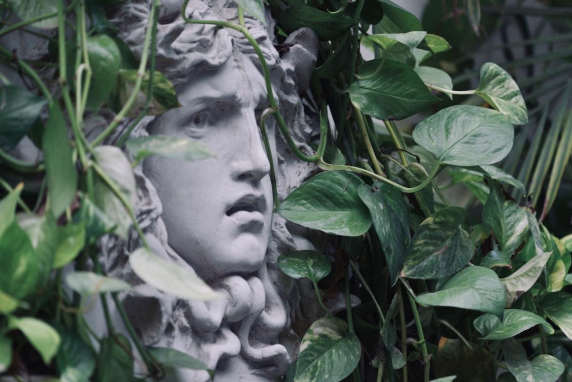 GCSE Poem Analysis: Medusa by Carol Ann duffy