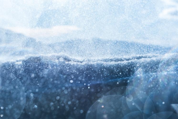 Blow, Blow Thou Winter Wind by William Shakespeare