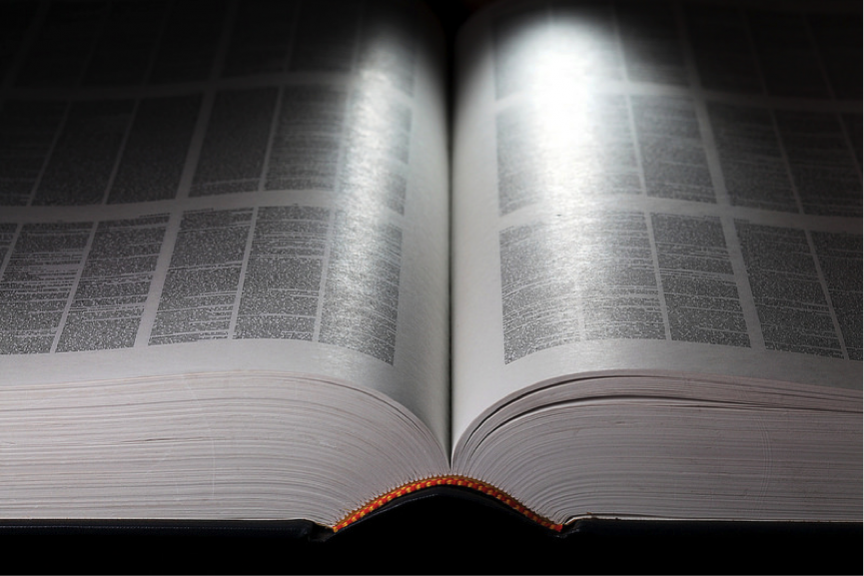 The History of the English Language