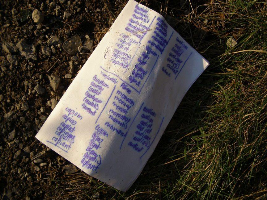 Latin Declensions Explained: Our Top Memorising Tips