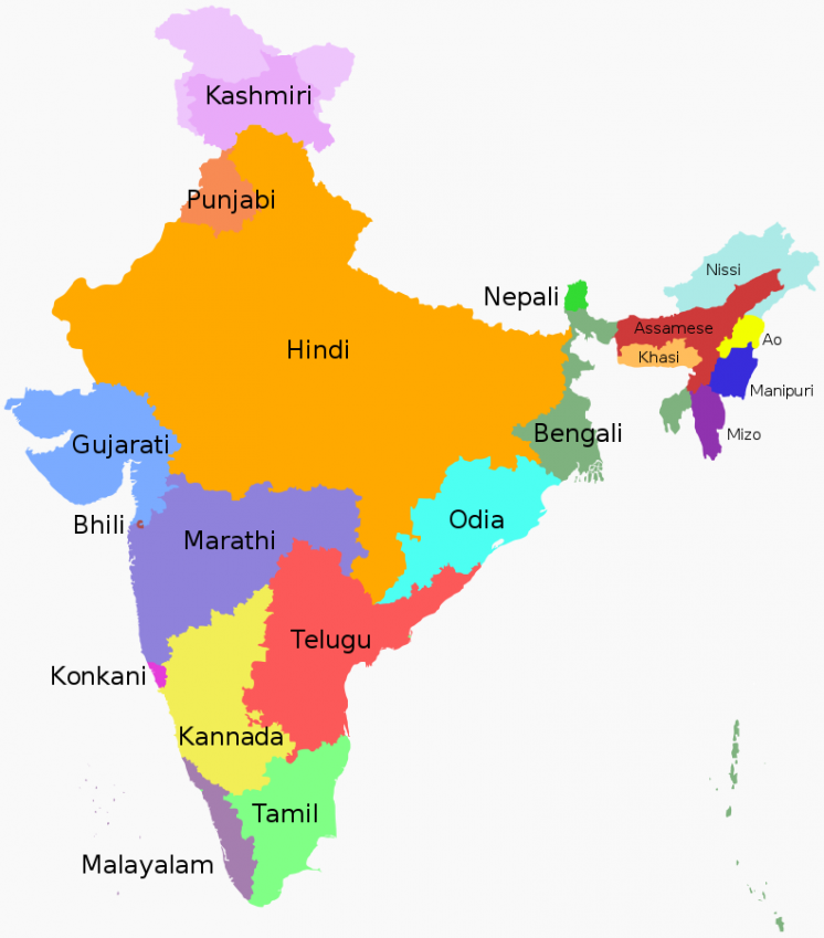 The History of the Hindi Language in India