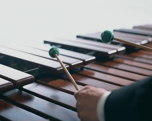 A Beginner’s Guide to the Marimba.
