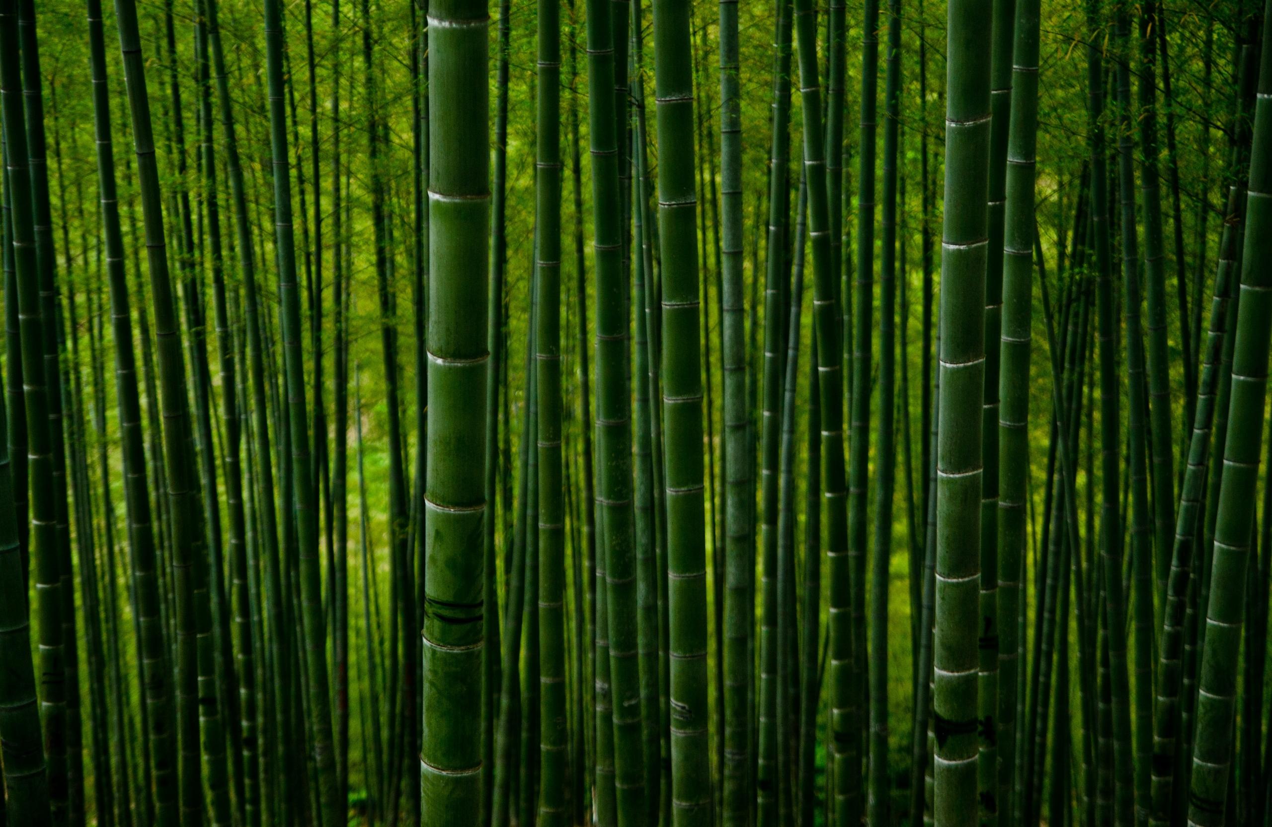 The History of Chinese Numbers