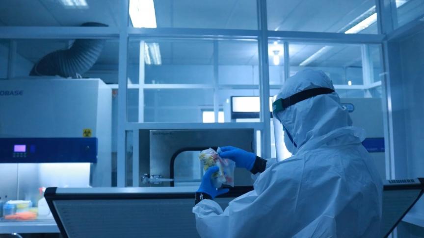 Skills Needed to be a Doctor: Do You Have What It Takes?