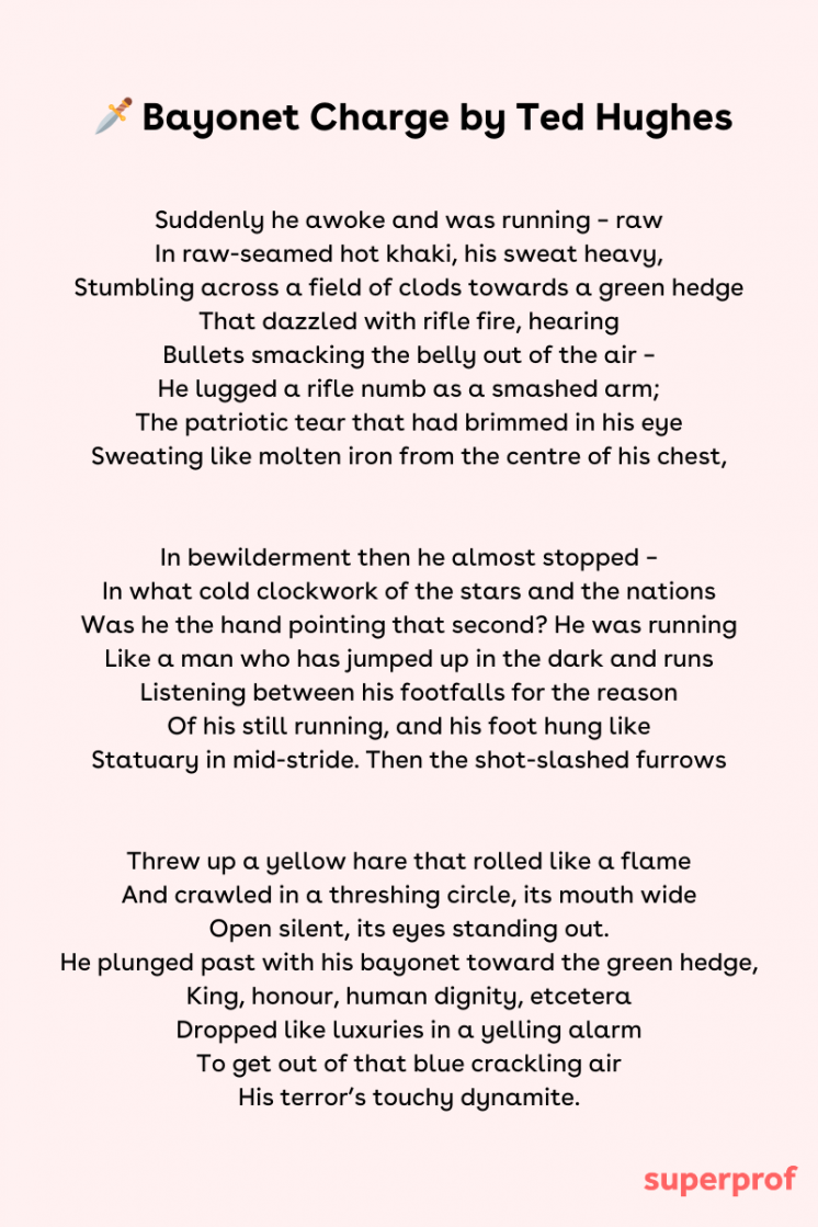 GCSE Poetry Analysis: Bayonet Charge by Ted Huges