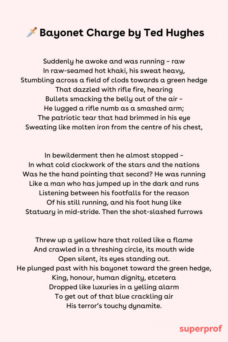 GCSE Poetry Analysis: Bayonet Charge by Ted Huges