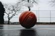 Understanding the Role of the Power Forward in Basketball