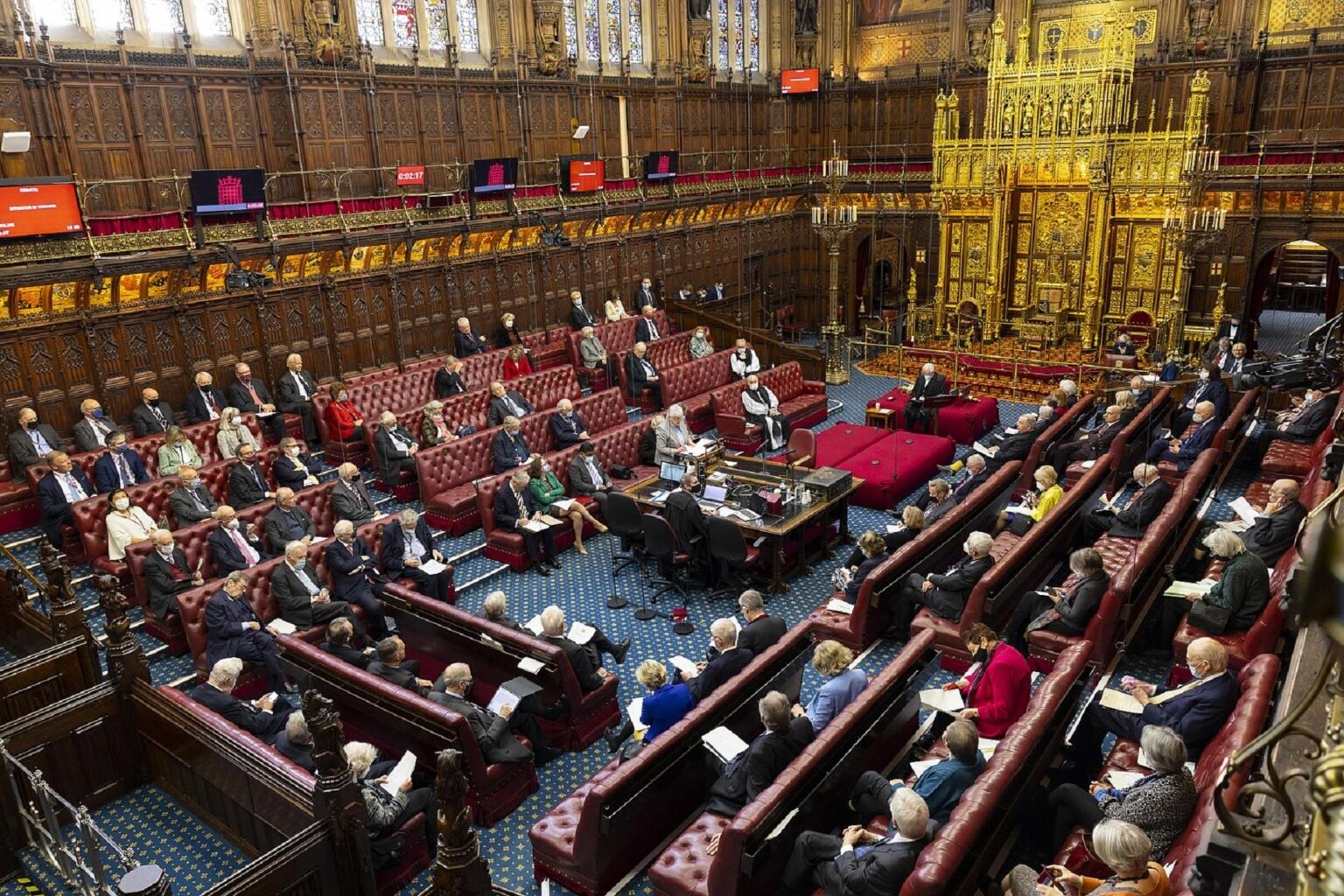 The UK Parliament Structure and Roles