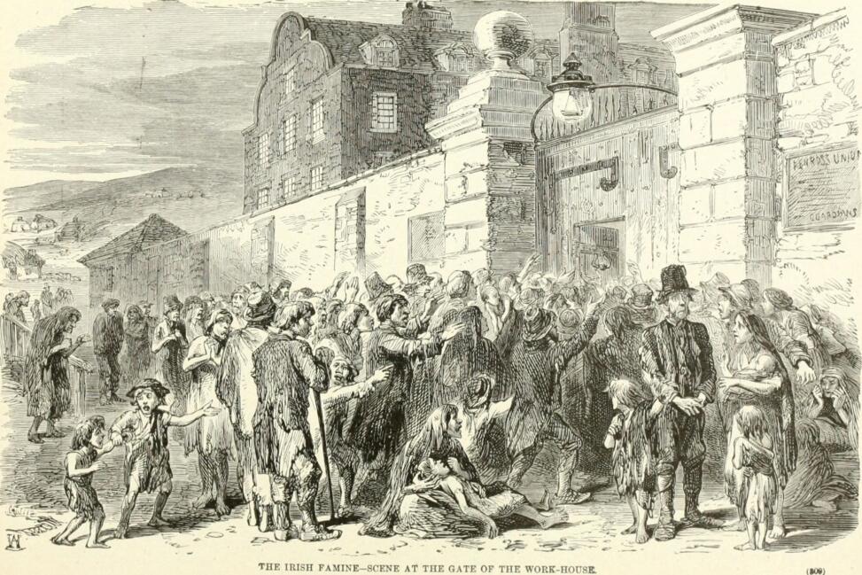 The Irish Potato Famine: Causes and Impact