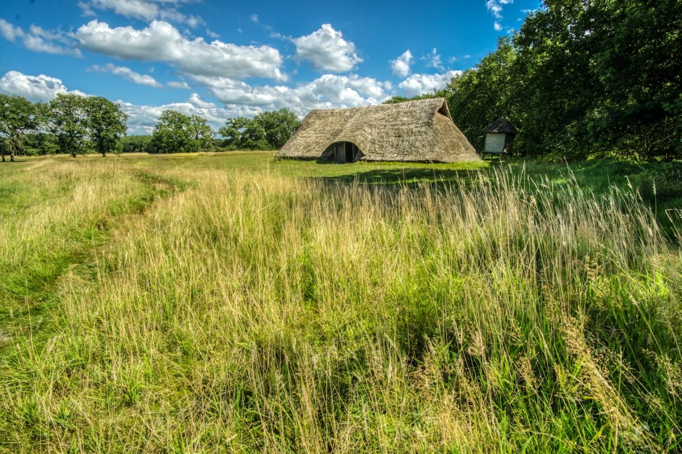 Who Were the Celts? Ireland’s Ancient Roots