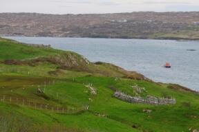 Popular Irish Female Singers