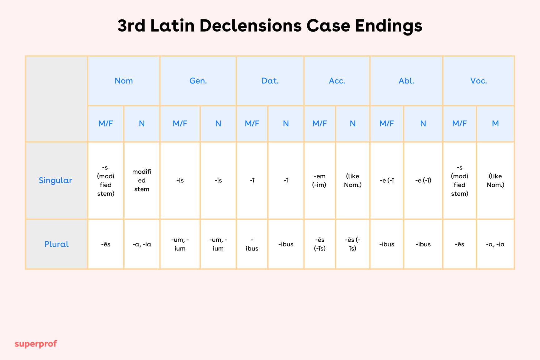 Latin Declensions Explained: Our Top Memorisation Tips