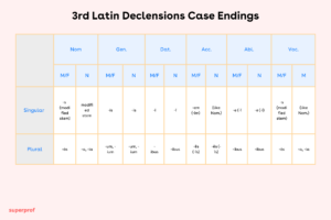 Latin Declensions Explained: Our Top Memorisation Tips