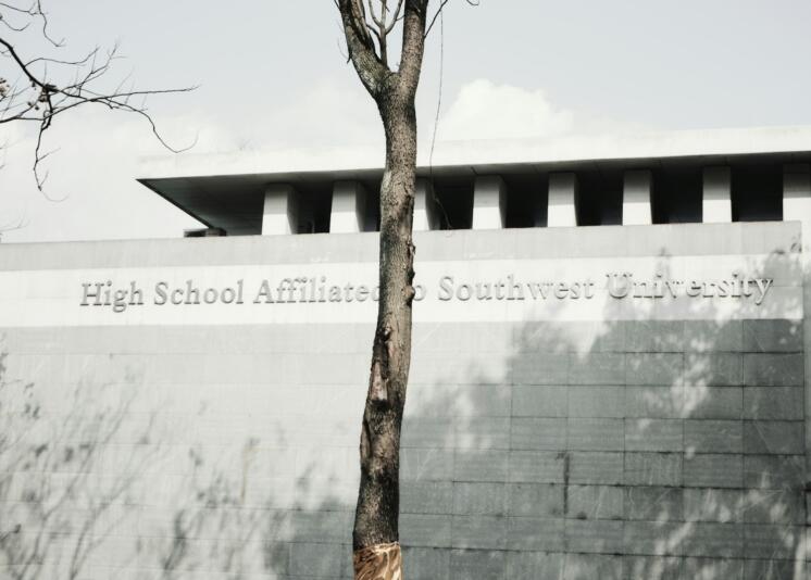 Understanding Auslan: The Basics of Australian Sign Language